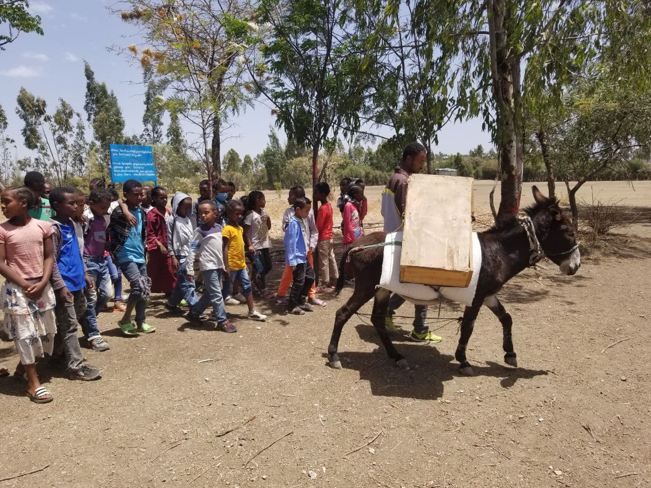 Donkey Library - Together We Learn - Ethiopia