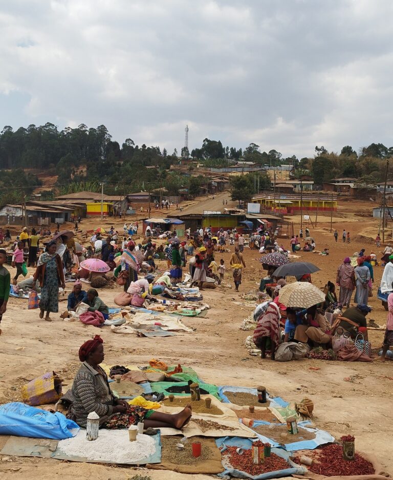 Modern Ethiopia Tour - Together We Learn - Ethiopia